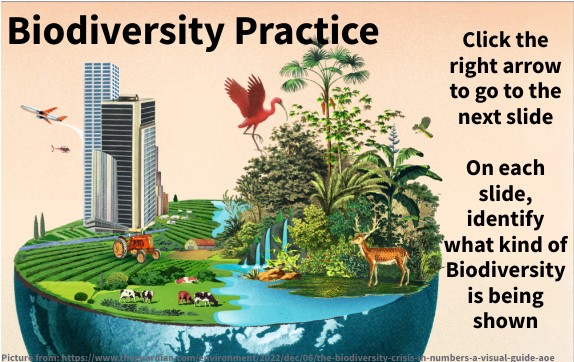 Biodiversity