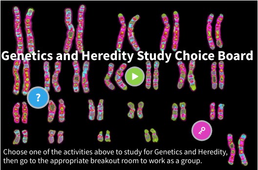 Genetics and Heredity Study Choice Board