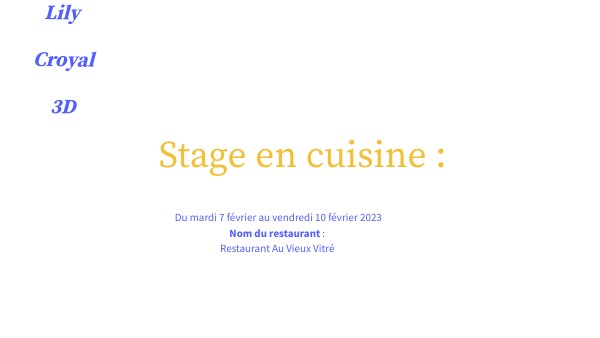 Copie - BASIC PRESENTATION | Genially