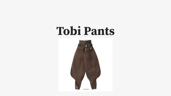 Tobi Pants