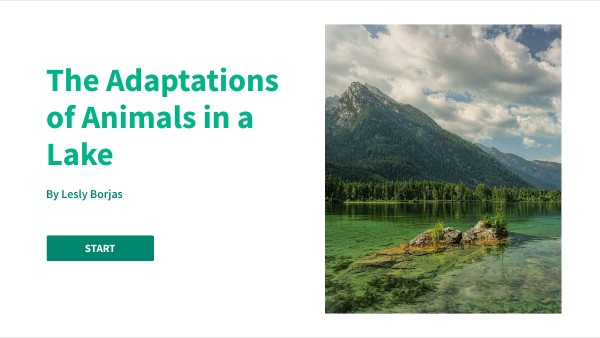Lake Animals Adaptations | Genially