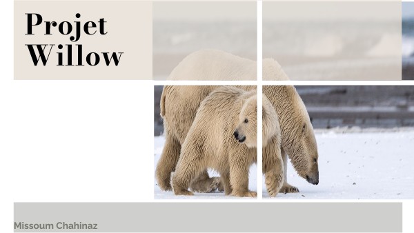 WILLOW PROJECT