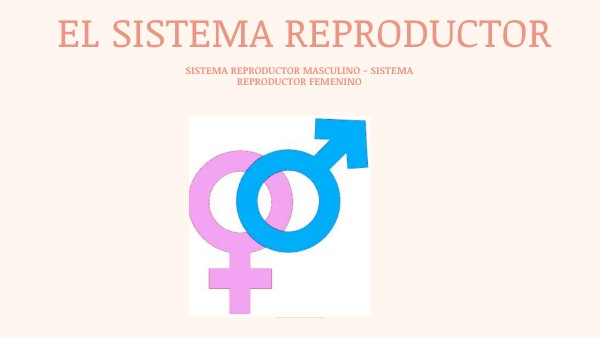 SISTEMA REPRODUCTOR HUMANO | Genially
