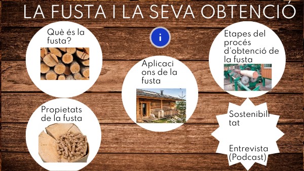 La fusta i el seu procés d'obtenció | Genially