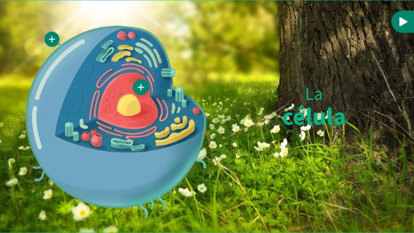 Póster interactivo célula