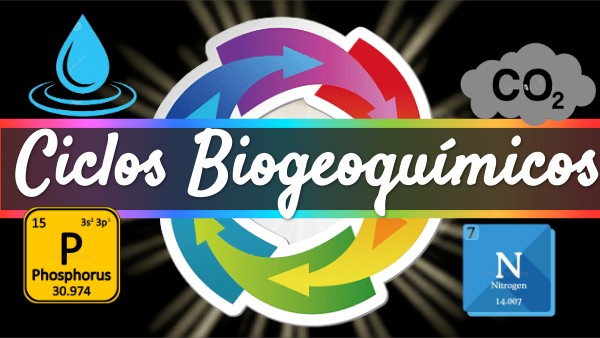 Ciclos biogeoquímicos | Genially