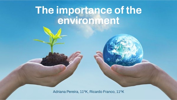 The importance of the environment | Genially