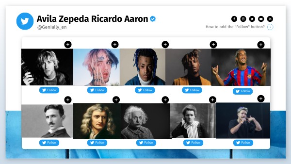 TWITTER GRID PROFILES | Genially