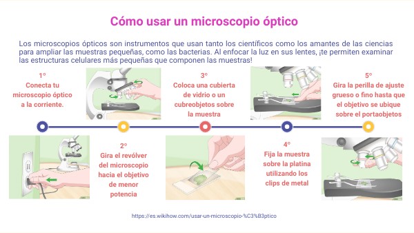 Manejo del microscopio 2.1 | Genially