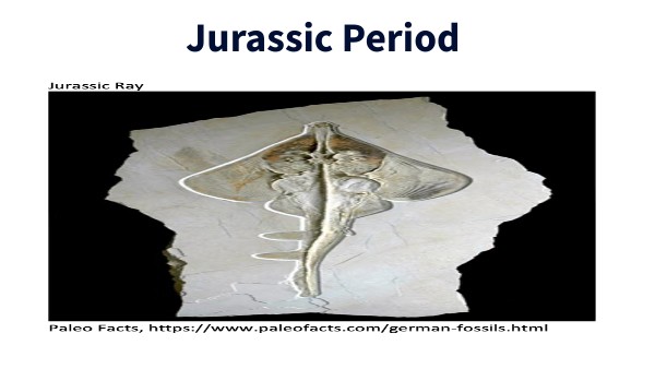 Jurassic Period