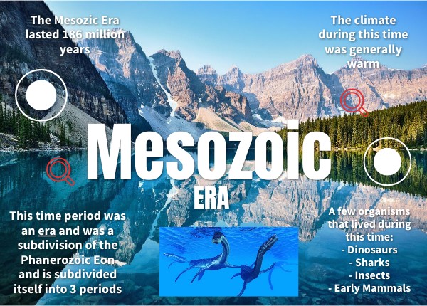 MESOZOIC ERA INTERACTIVE