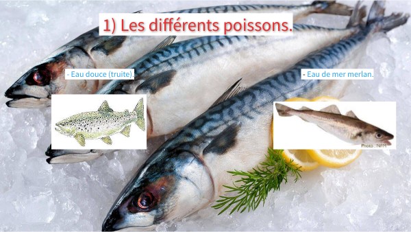poisson | Genially