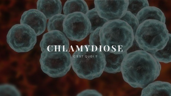 SHADOW PRESENTATION | Genially