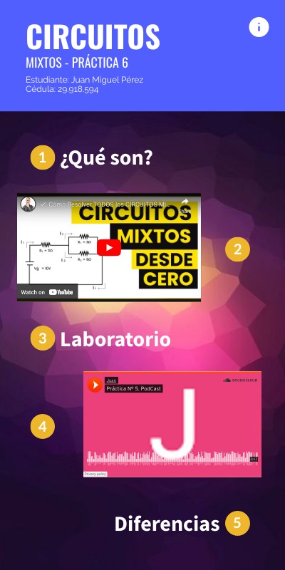 CIRCUITOS MIXTOS