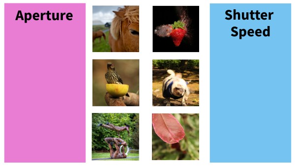 Aperture and Shutter speed picture game