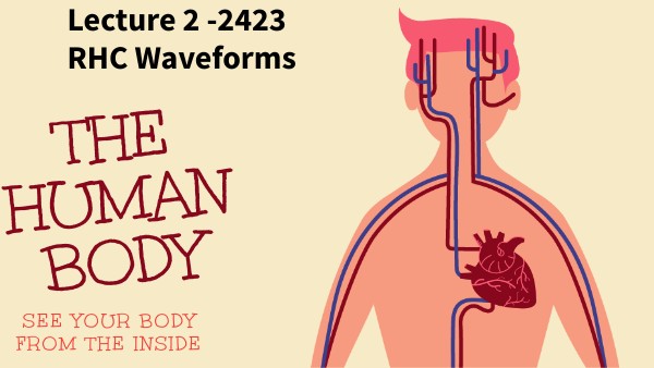 HUMAN BODY PRESENTATION