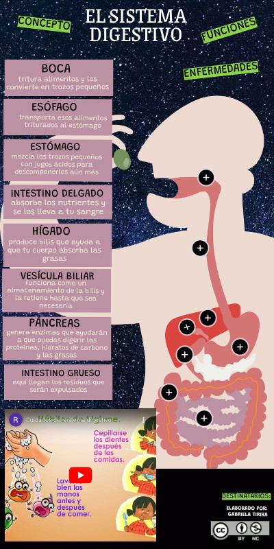 INFO VERTICAL DIGESTIVO | Genially