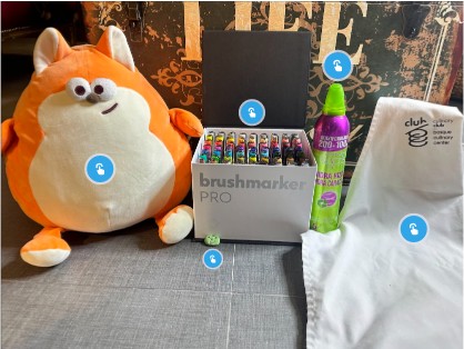 Lengua: Los 5 objetos