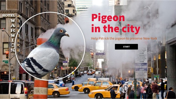Pigeon escape game