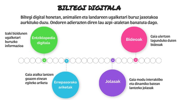 Timeline Diagrama V