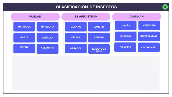 CLASIFICACION DE INSECTOS | Genially