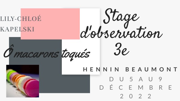 ORAL DE STAGE 3E | Genially