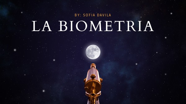 serie II- Sofia Dávila