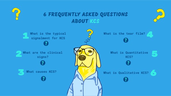 Frequently Asked Questions: KCS