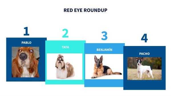 Red Eye Roundup - shareable | Genially