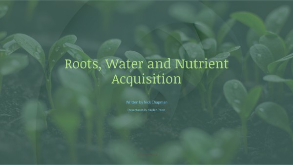 water and nutrient acquisition