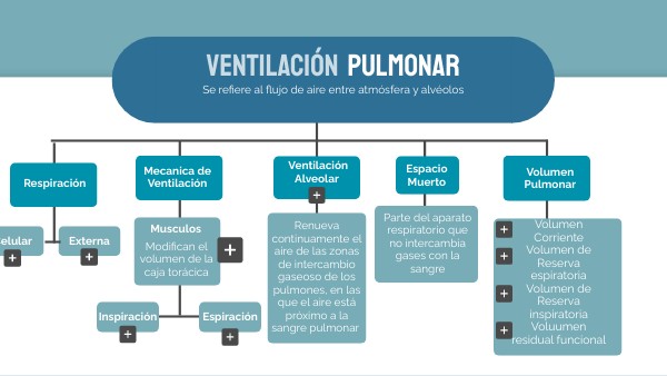 MAPA Ventilación Pulmonar | Genially