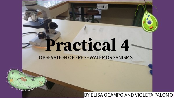 PRACTICAL 4: Observation of freshwater organisms | Genially