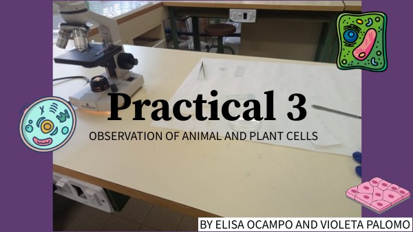 PRACTICAL 3: Observation of animal and plant cells | Genially