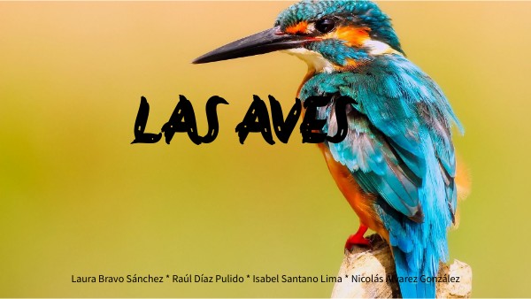 LAS AVES