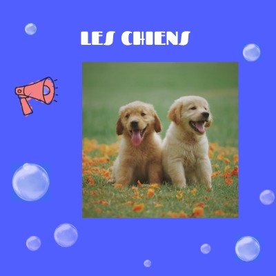 BUBBLE ACTIONABLE | Genially