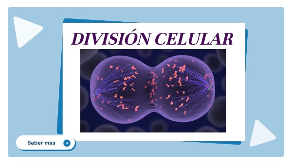 DIVISION CELULAR | Genially