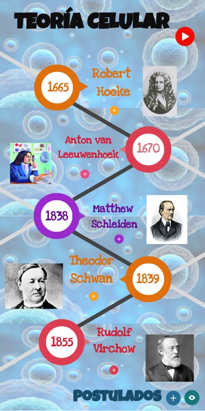 TEORIA CELULAR | Genially