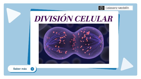 DIVISION CELULAR | Genially