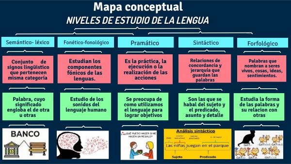 MAPA CONCEPTUAL NIVELES DE ESTUDIO DE LA LENGUA | Genially