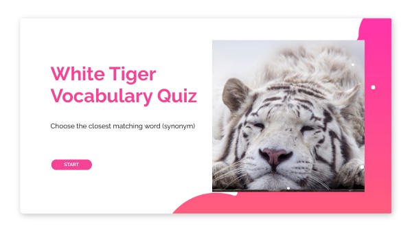White Tiger Vocabulary Quiz