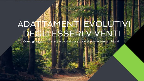 DIAGONAL PROJECT PRESENTATION | Genially