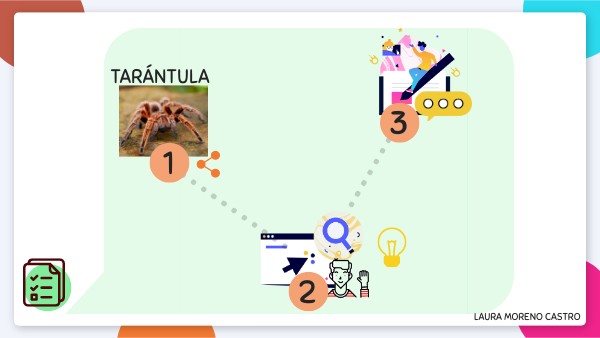 secuencia descripción bicho