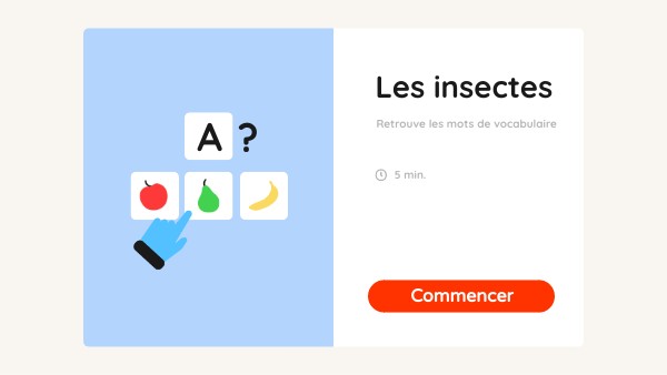 Vocabulaire - Les insectes