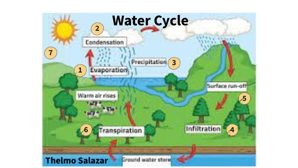 Hydrological Cycle | Genially