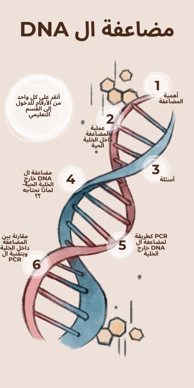 مضاعفة ال DNA
