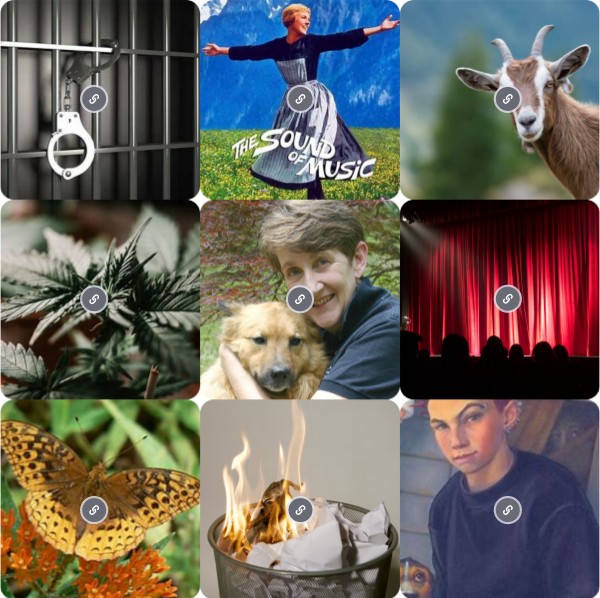 Interactive image | Genially