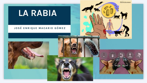 La Rabia | Genially