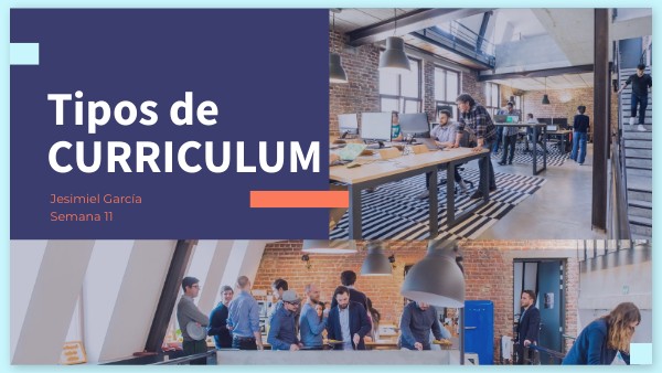 TIPOS DE CURRICULUM