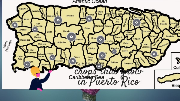crops that grow in Puerto Rico