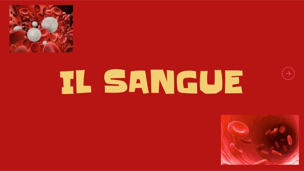 IL SANGUE